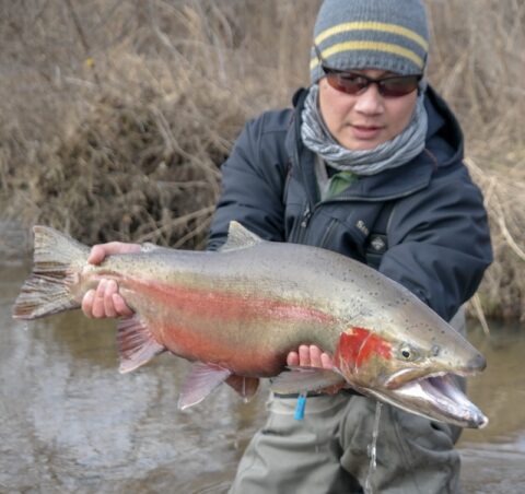 Son Tao – Douglas Outdoors